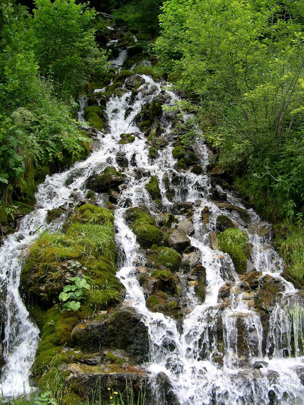 PAISAJES DEL PIRINEO: Artiga de Lin